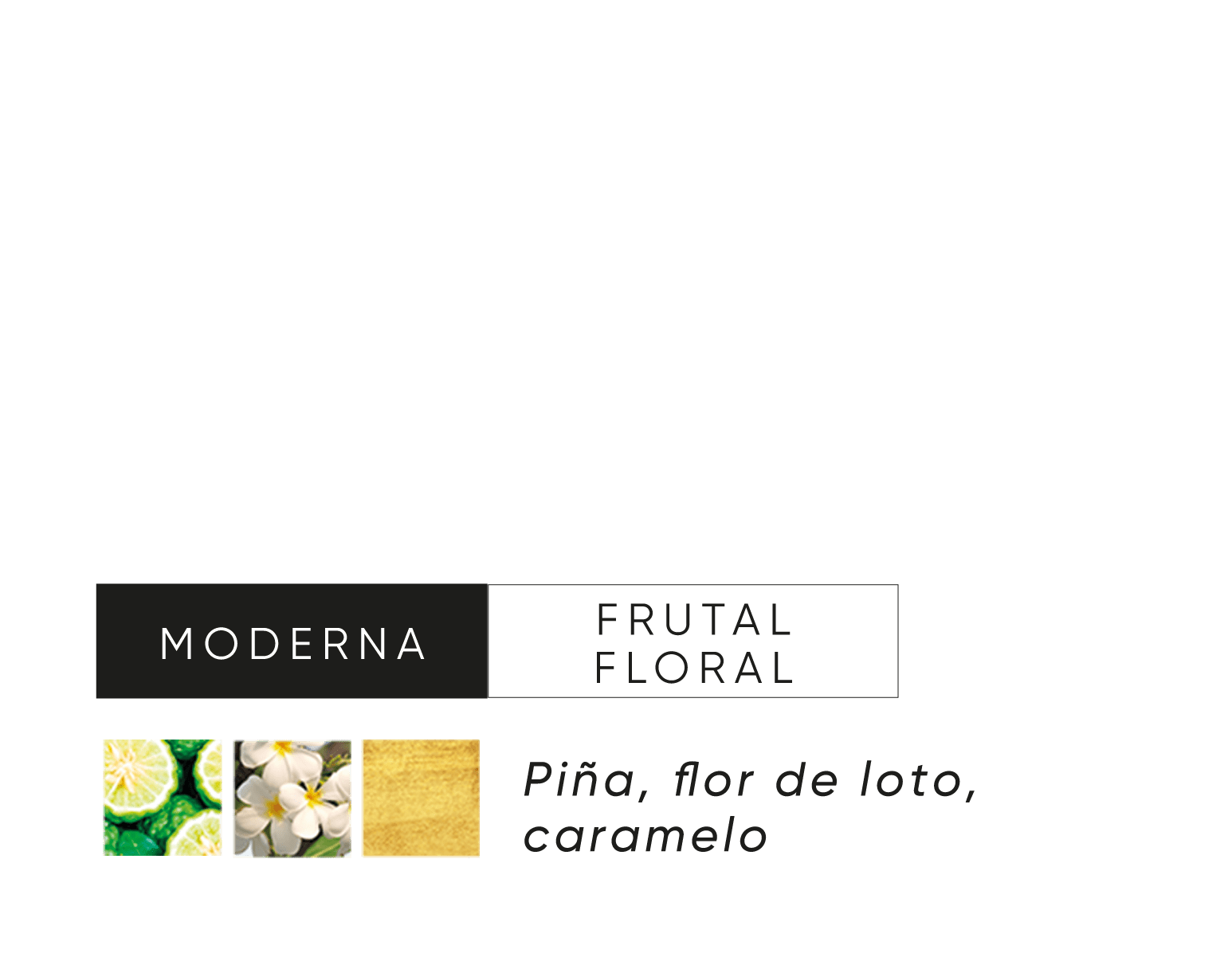 Fragancias – Azzorti Colombia
